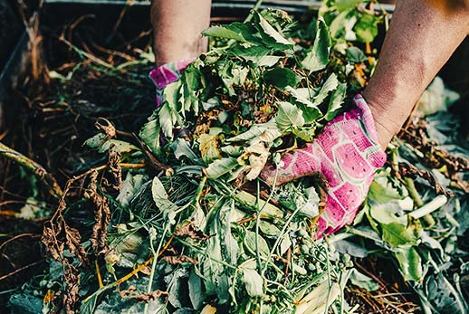 Loopworm - Zero Hunger | Adani Green Talks